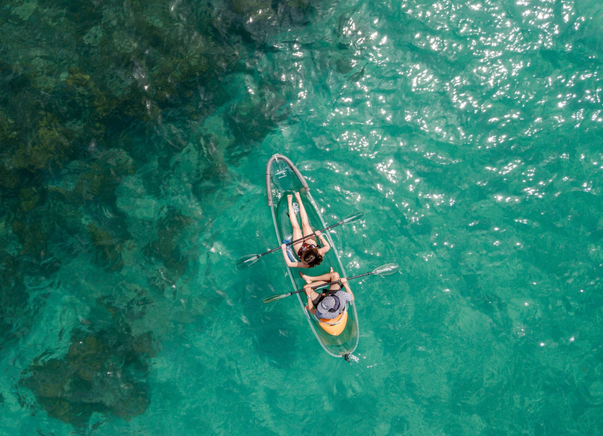 About Us | Clear Kayak Rentals in New Zealand | Clearyak